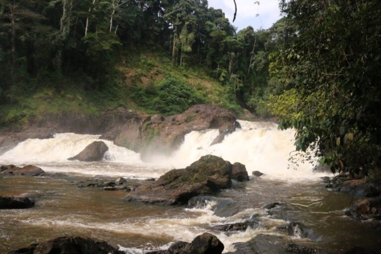 Enjoy A Full Interaction With Nature While Visiting The Elephant Falls ...