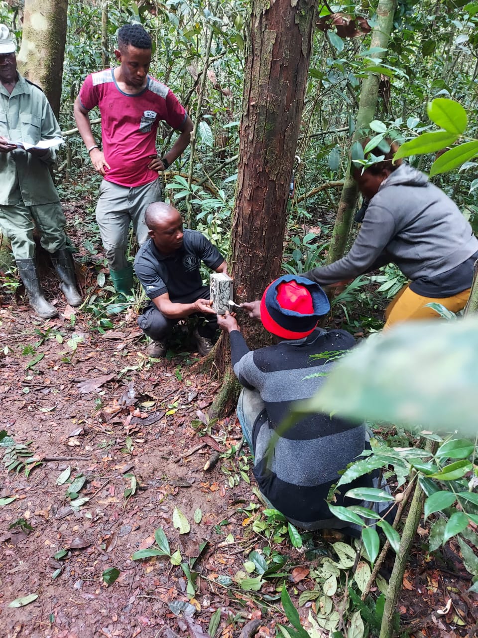 RSPB Staff Visit SCNL – SOCIETY FOR THE CONSERVATION OF NATURE OF LIBERIA
